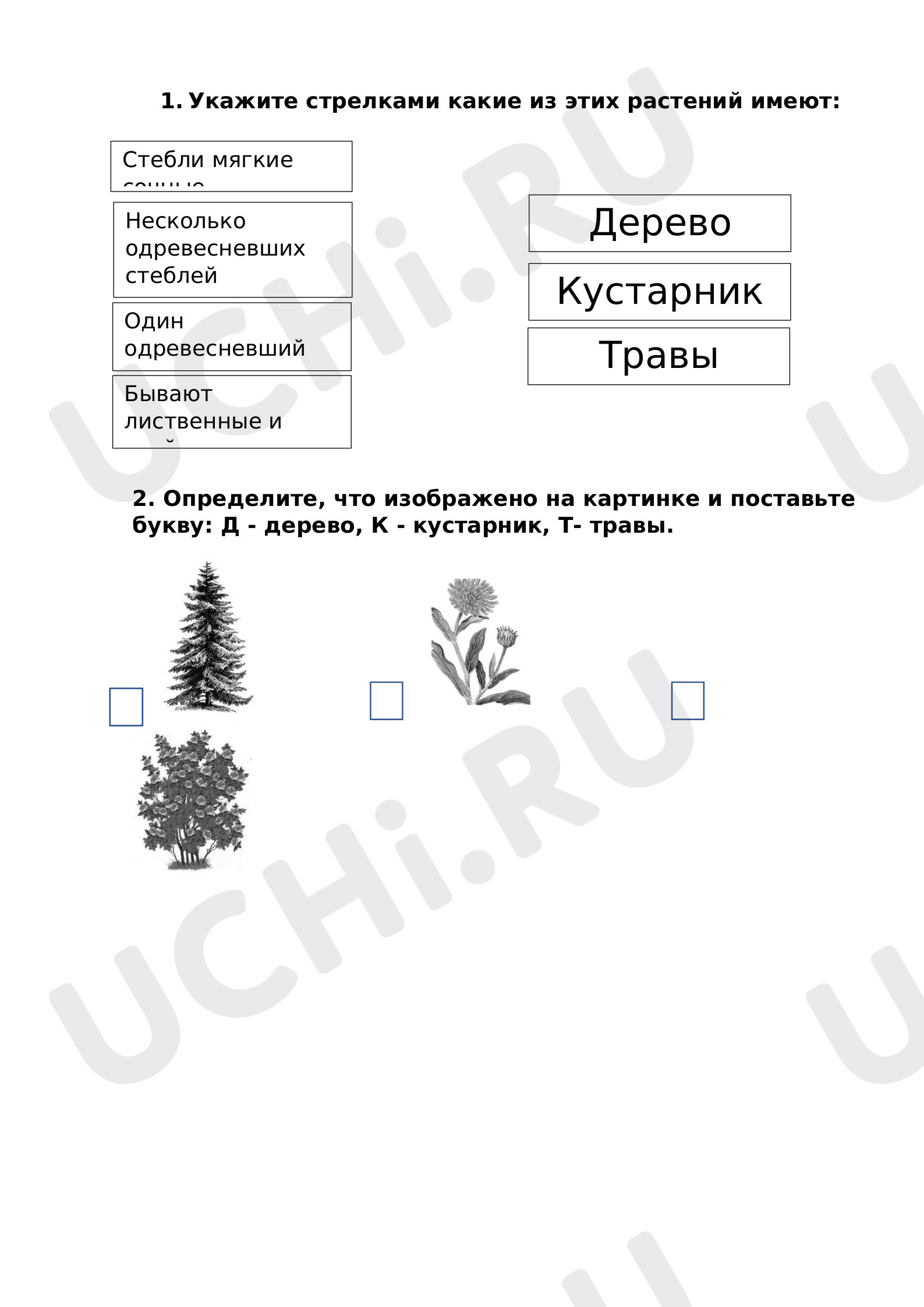 📒 Рабочий лист №13 по теме “Рабочие листы по окружающему миру Виды растений ” для 2 класса Учи ру