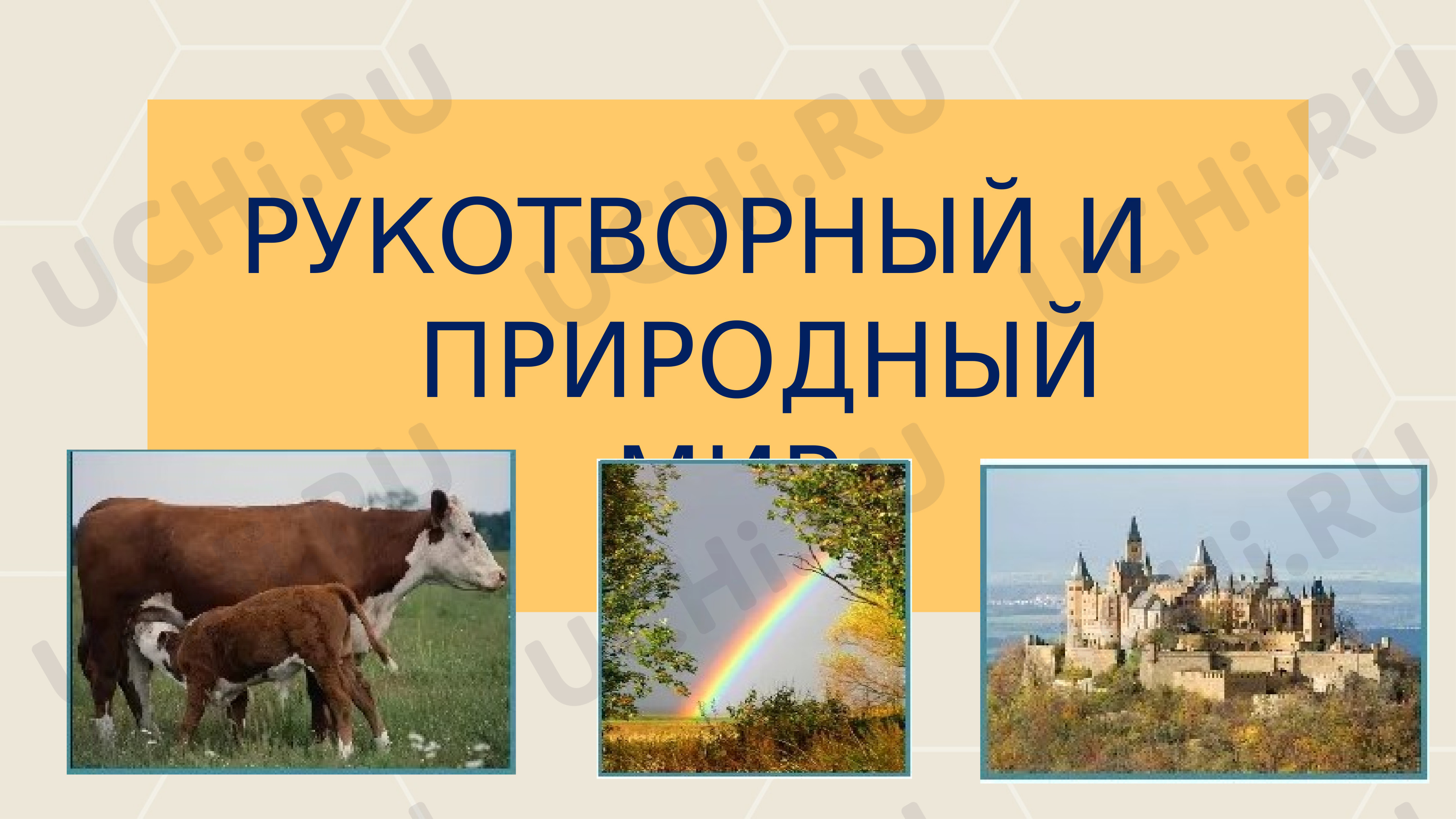 📈 Презентация №4 по теме “Презентация к уроку по окружающему миру