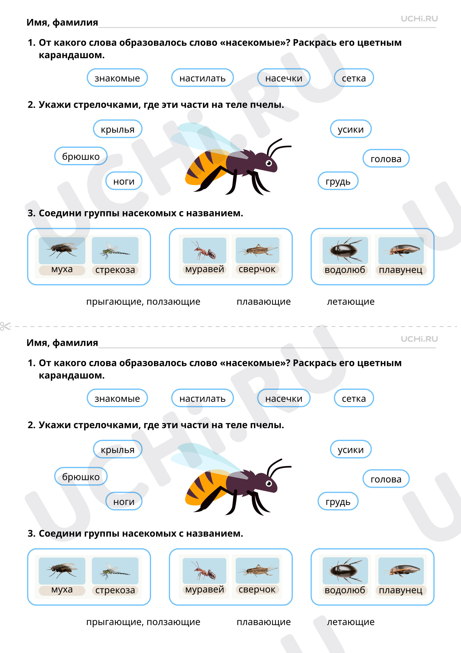 📒 Рабочий лист №3 по теме “Насекомые. Базовый уровень” для 1 класса ...