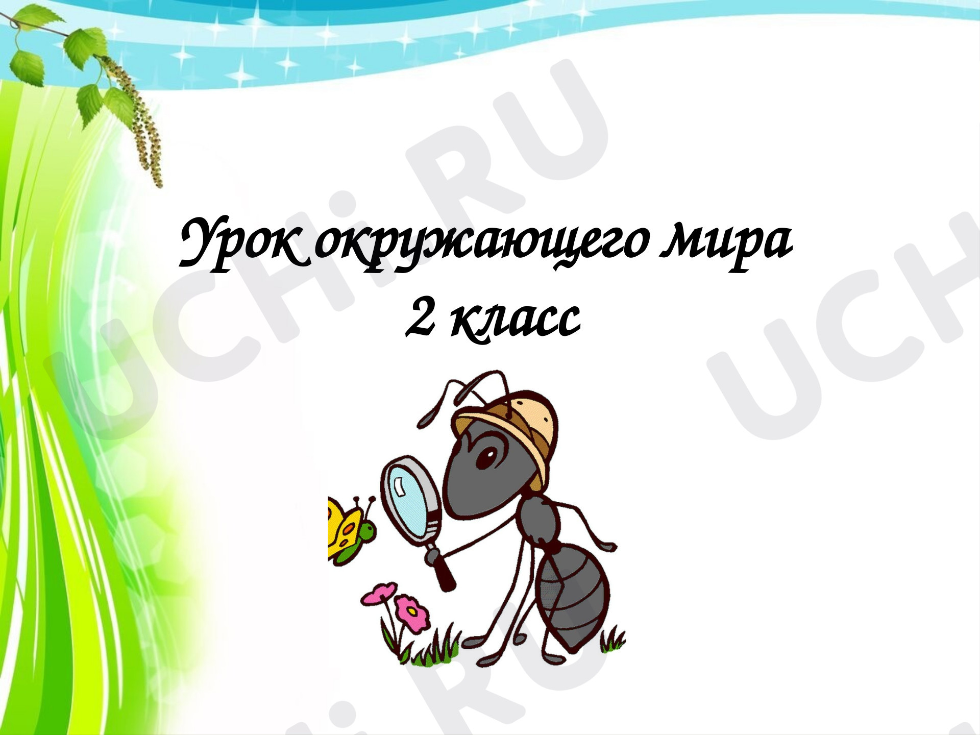 📈 Презентация по теме “Красная книга” для 2 класса Учи ру