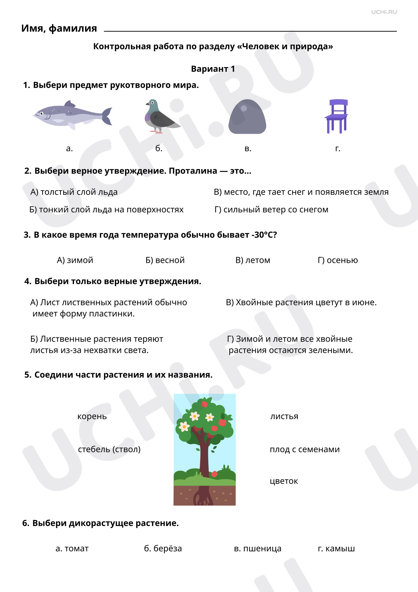 🖍 Проверочная работа №2 по теме “Человек и природа. Вариант 2” для 1 ...